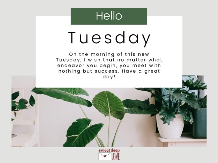 100+ Inspirational Good Morning Tuesday Quotes - Sweet Deep Love
